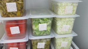 Date Coding – Day Dots and Shelf-life Stickers – Food Inspector